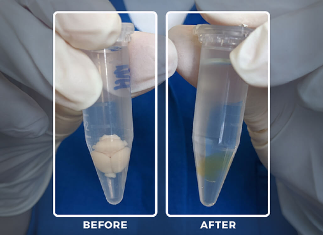 3d Tissue Clearing Translucence Biosystems 6792